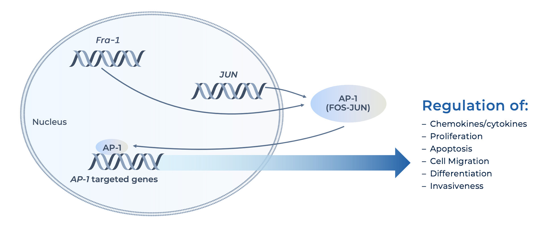 FraAP Program - Sapience Therapeutics